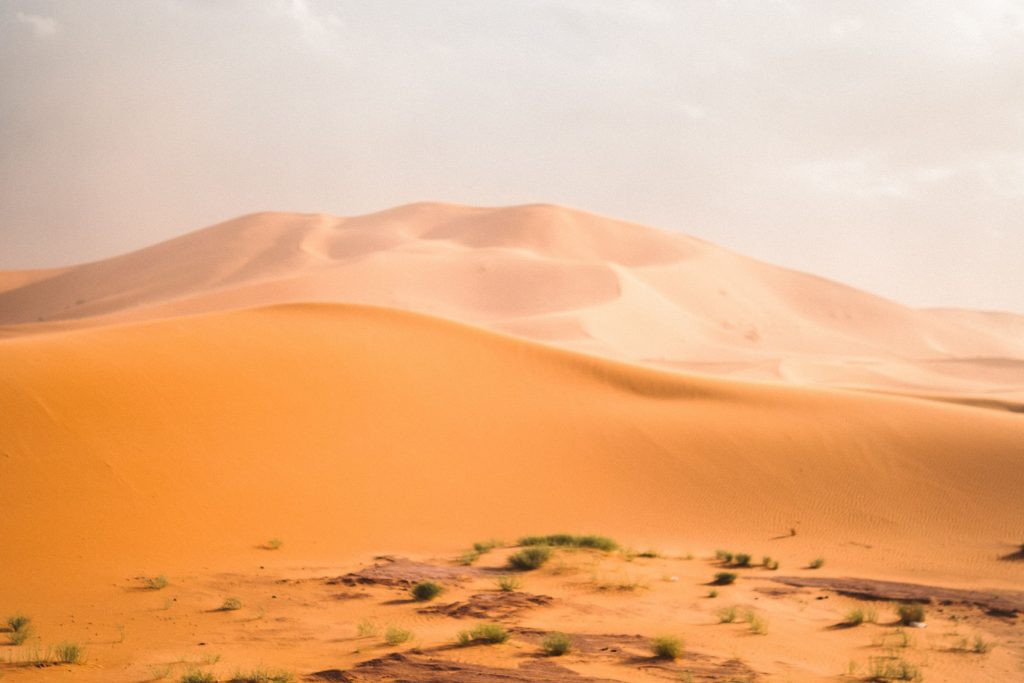 Top 5 Luxury Desert Resorts to Visit Around the World