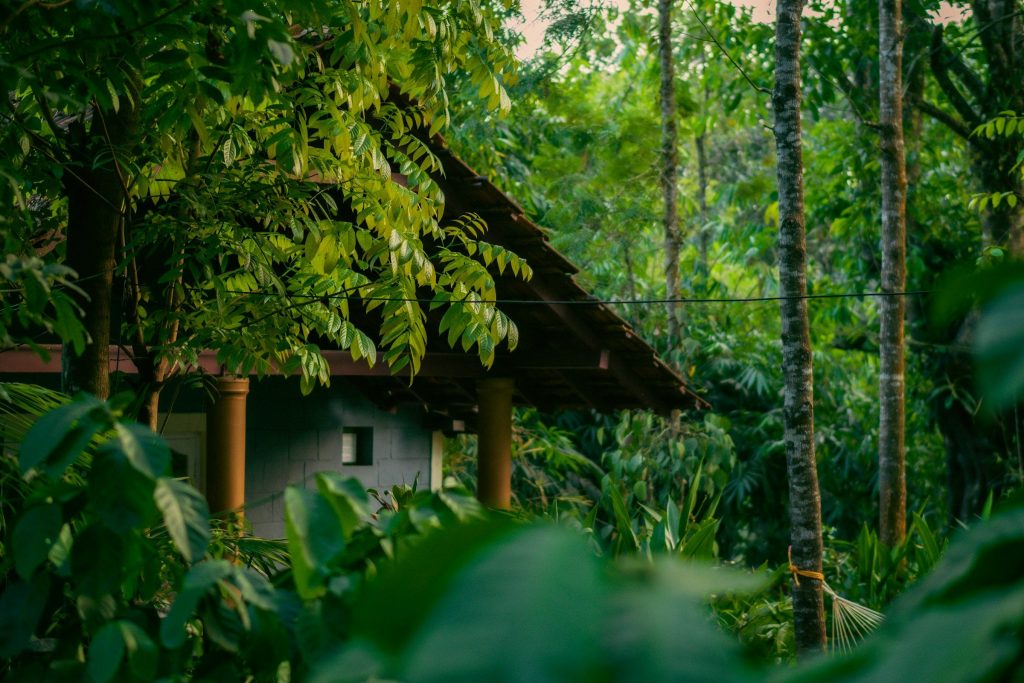 Exquisite Escapes: Coorg's Top 5 Luxury Resorts - Luxury Nirvana